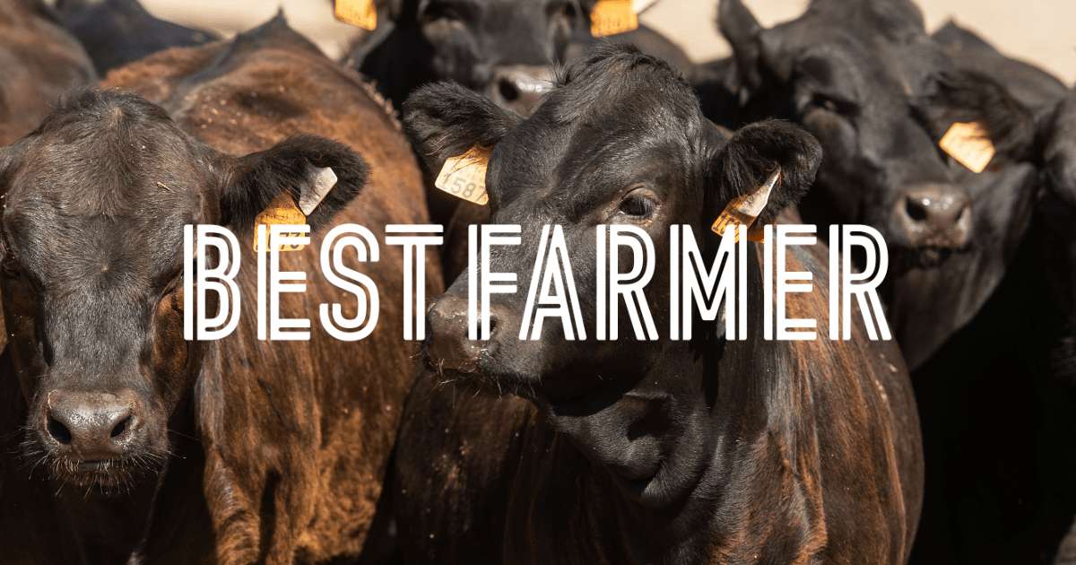 Home [www.best-farmer.pt]